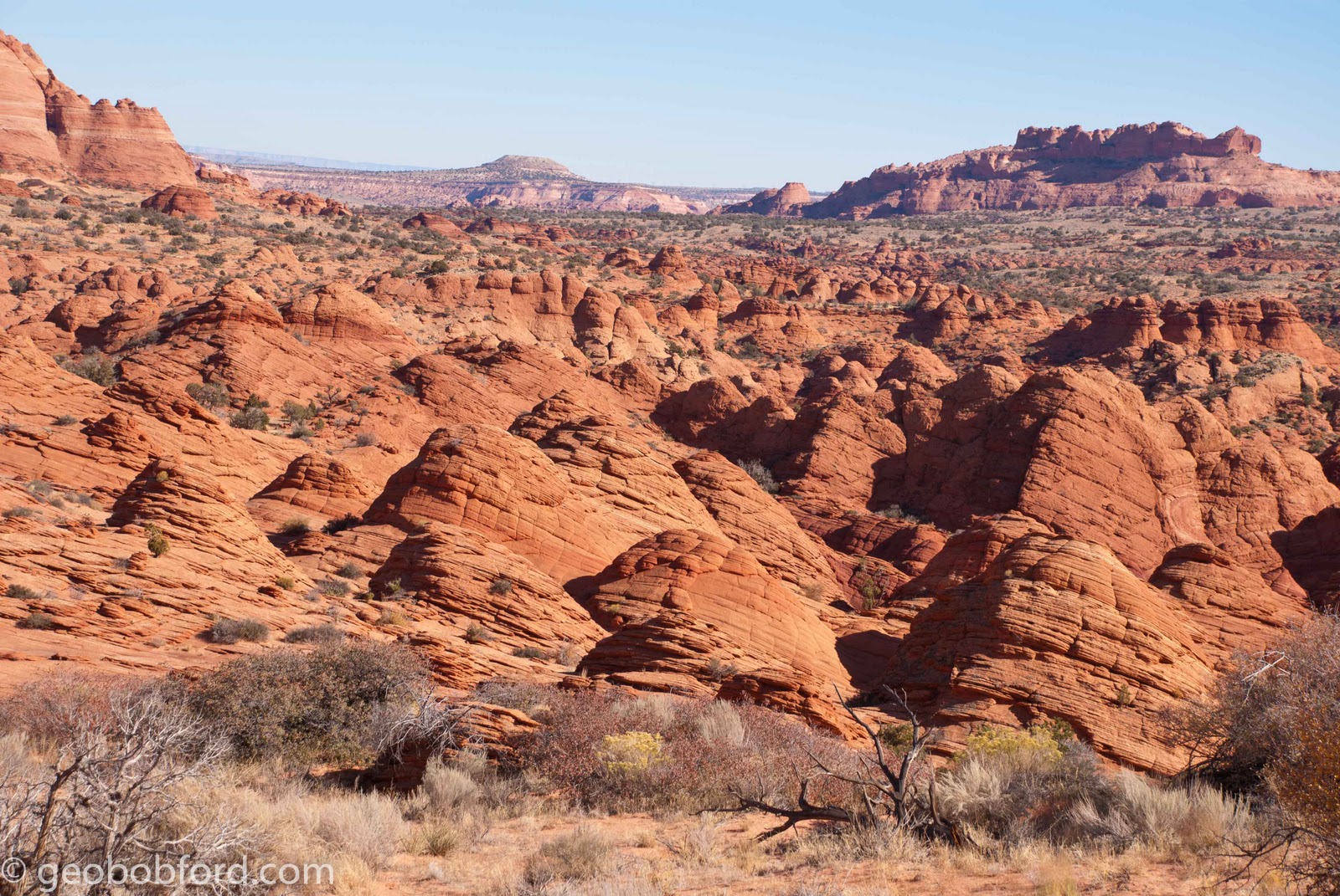 Robert (GeoBob) Ford's BLOG: The Wave, Coyote Buttes, Arizona & Utah USA