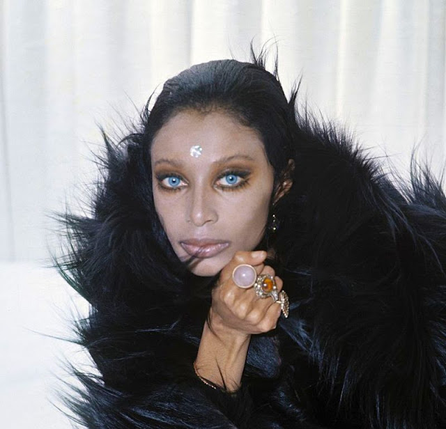 The First Black Supermodel: 40 Stunning Photos of Donyale Luna in the ...
