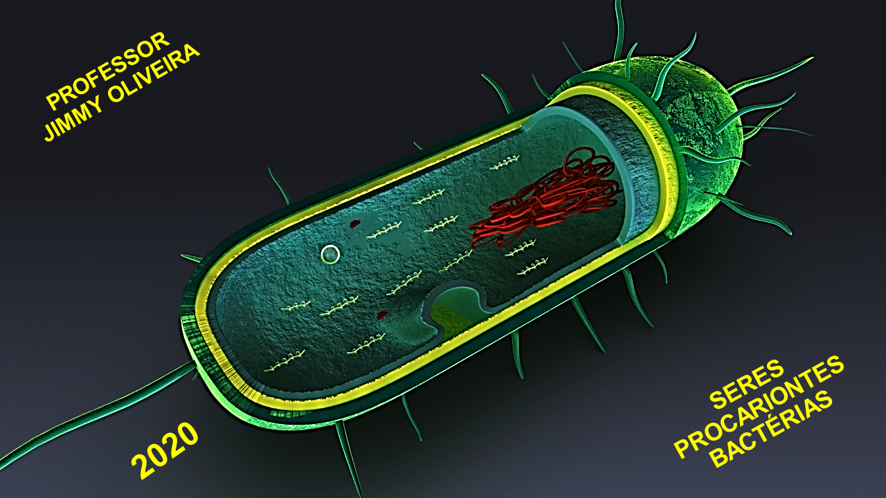 Professor Jimmy Oliveira: CAPÍTULO 3 - SERES PROCARIONTES - BACTÉRIAS ...