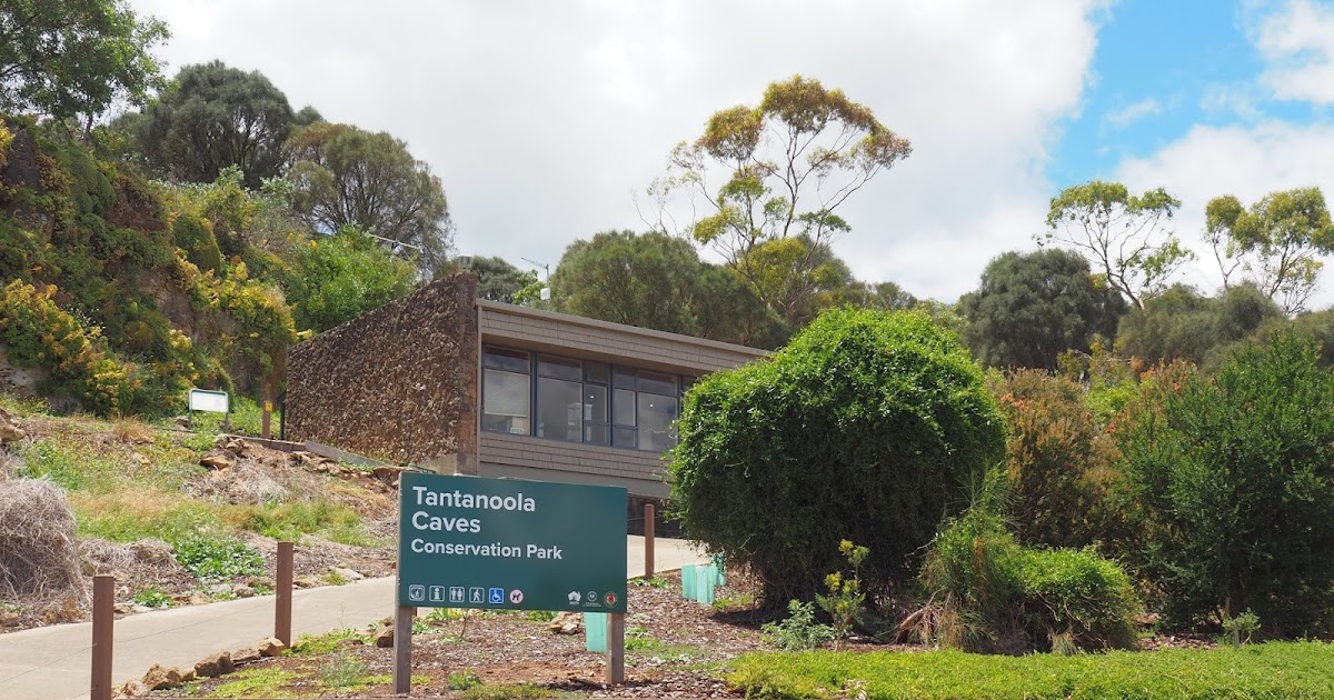 Travelog: The Tantanoola Caves