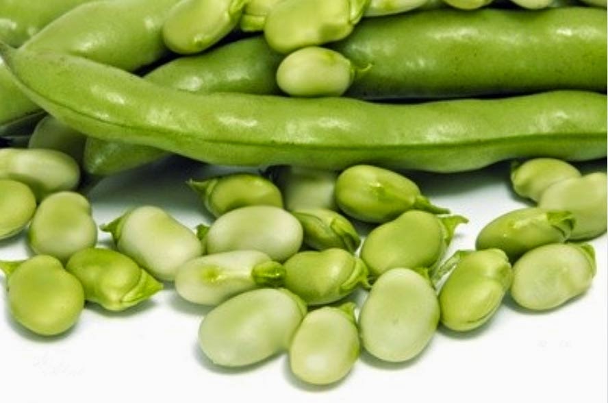 SARAGURO "SOBRE VIVE LA AGRICULTURA ": productos en saraguro