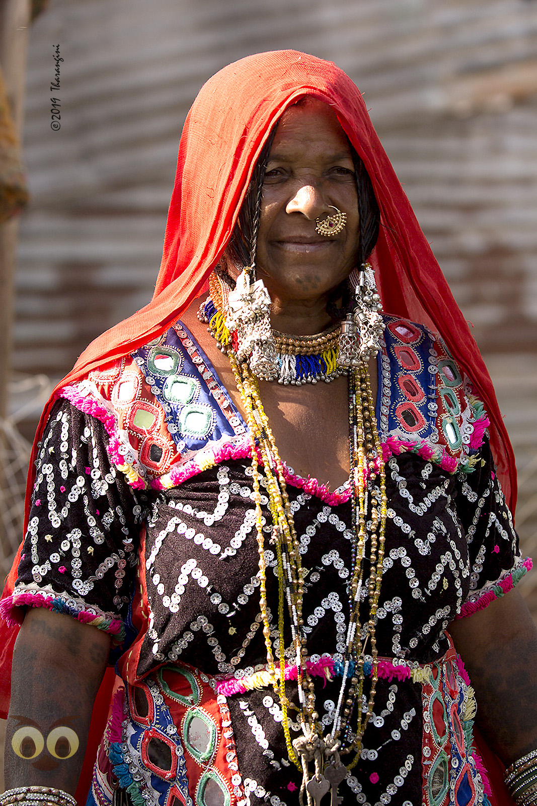 Spotted Owlets: Lambani Women