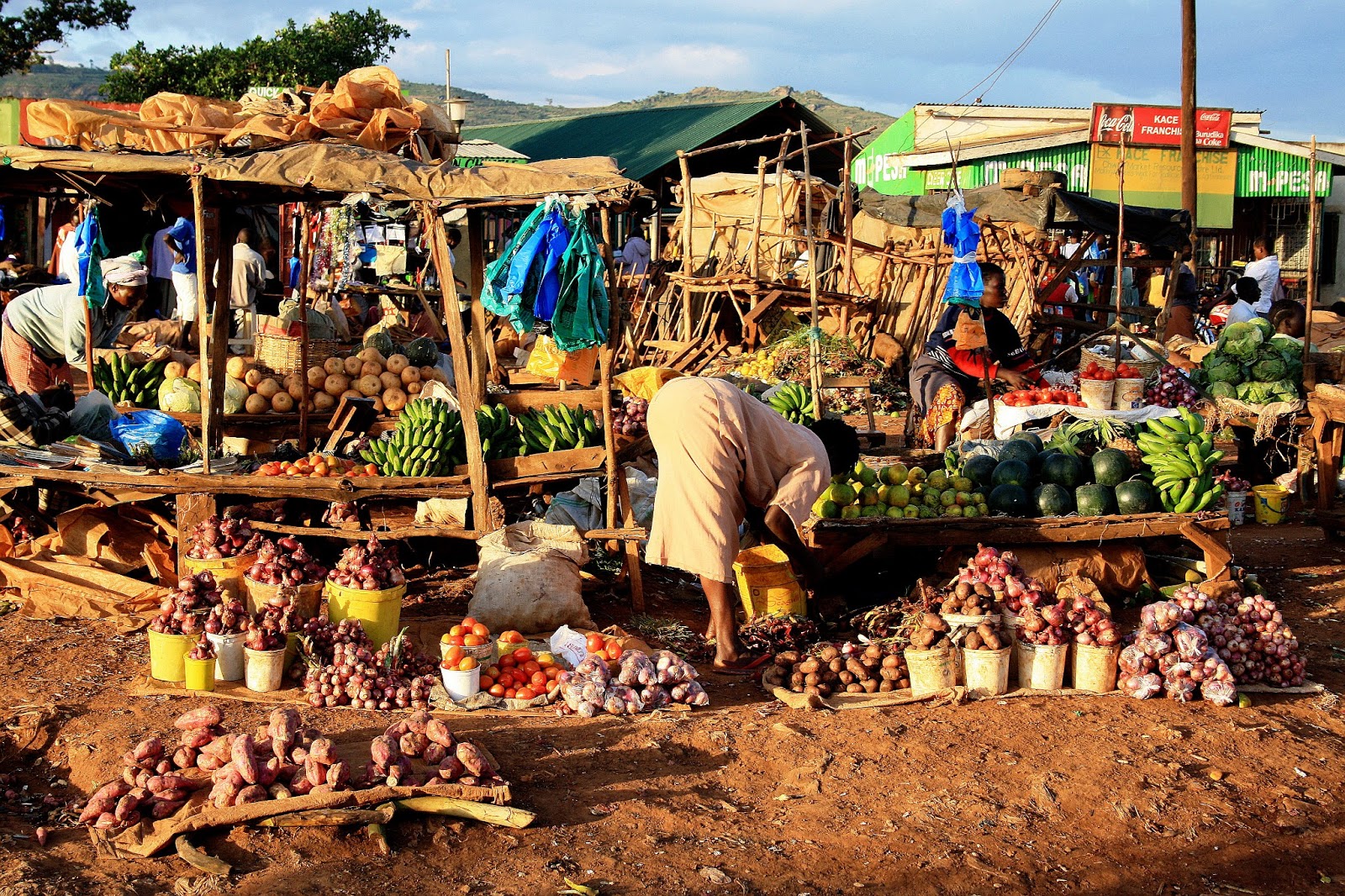 WAYFARER and AWESEEKER: The ones Im proud of: part II