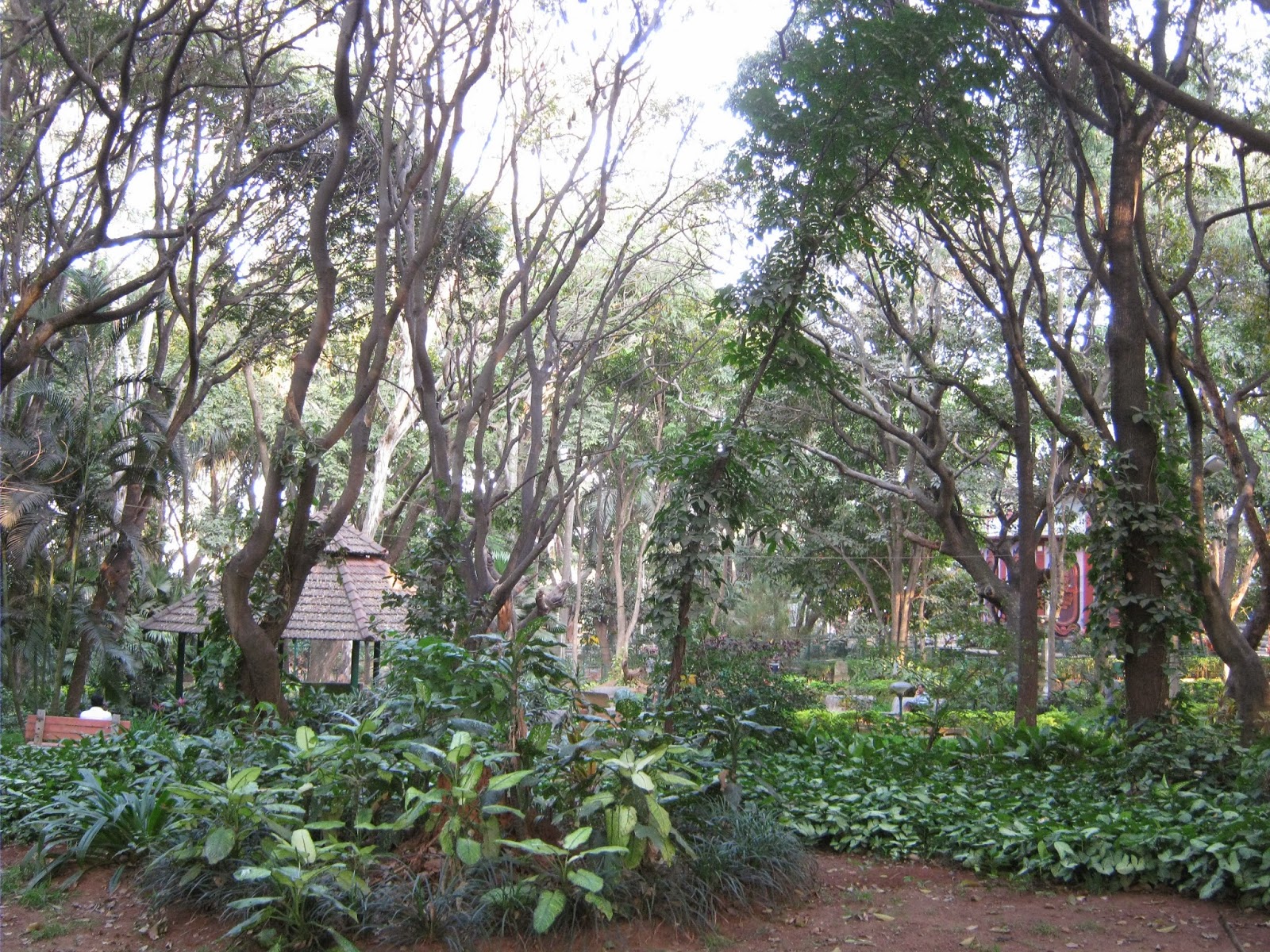 Bugle Rock - a historic paradise for lovers and walkers