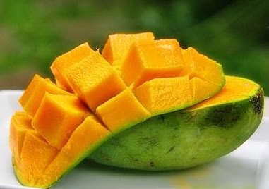 Agar Buah Mangga Cepat Matang, Ini Caranya - Rumah Petani