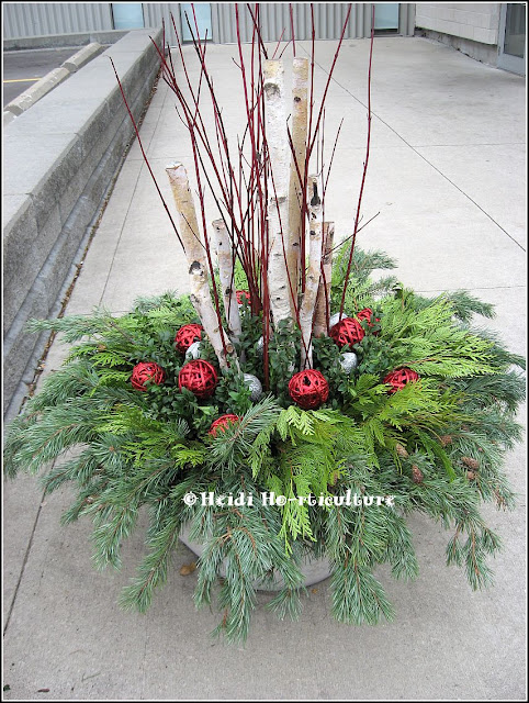 Heidi Horticulture: Outdoor Christmas Container - Large Planter