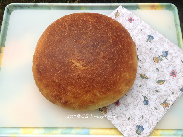 C'è di mezzo il mare: Pane del mondo: Potjie bread from Transkei (South ...