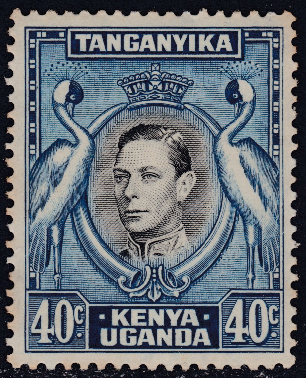 ENGRAVING OF THE WEEK engraving-of-the-week