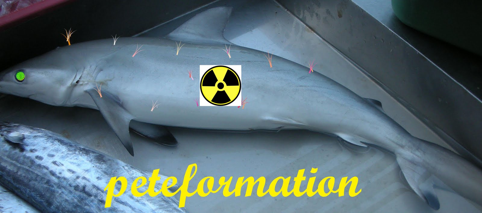 PeteFormation Foodie Adventure: Japanese Fukushima Nuclear Reactor ...