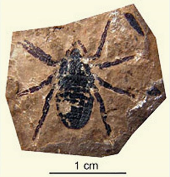 The Pondering Gulch: Et Tunc Nulla Erat III