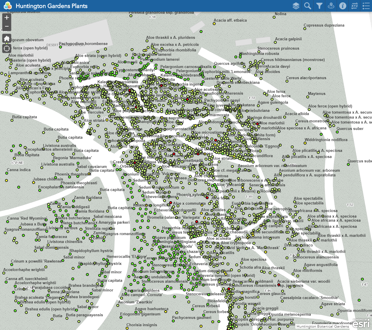 Plant-nerd technology that works: Huntington digital plant map