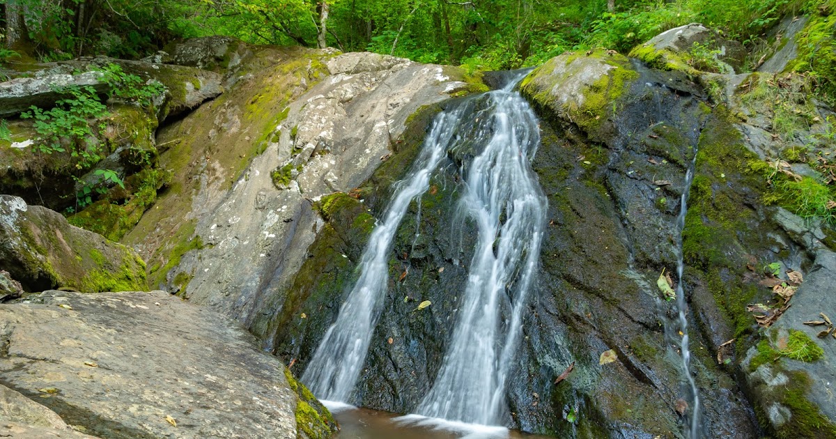 A Tree Falling: Shenandoah National Park: Jones Run/Doyles River