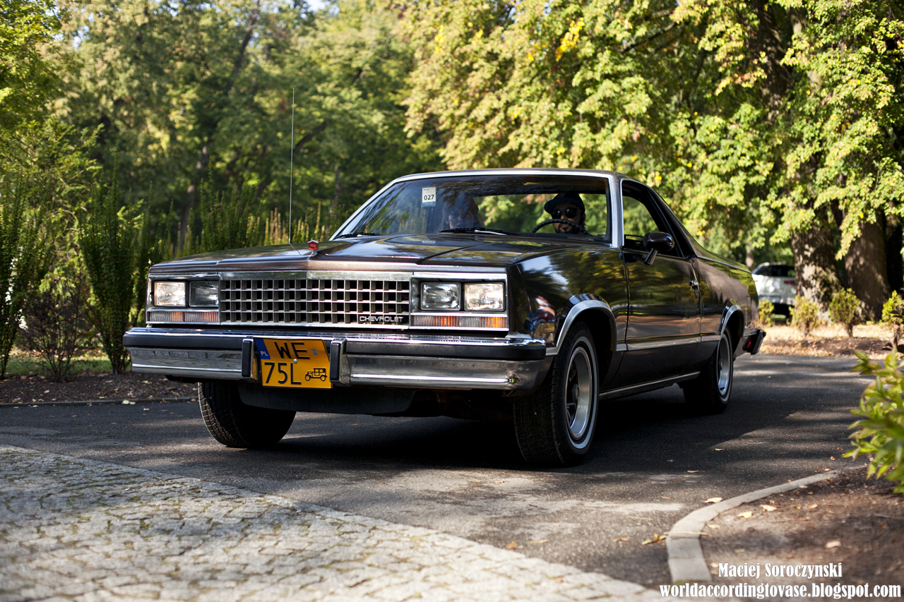 World According To Vase: Forza