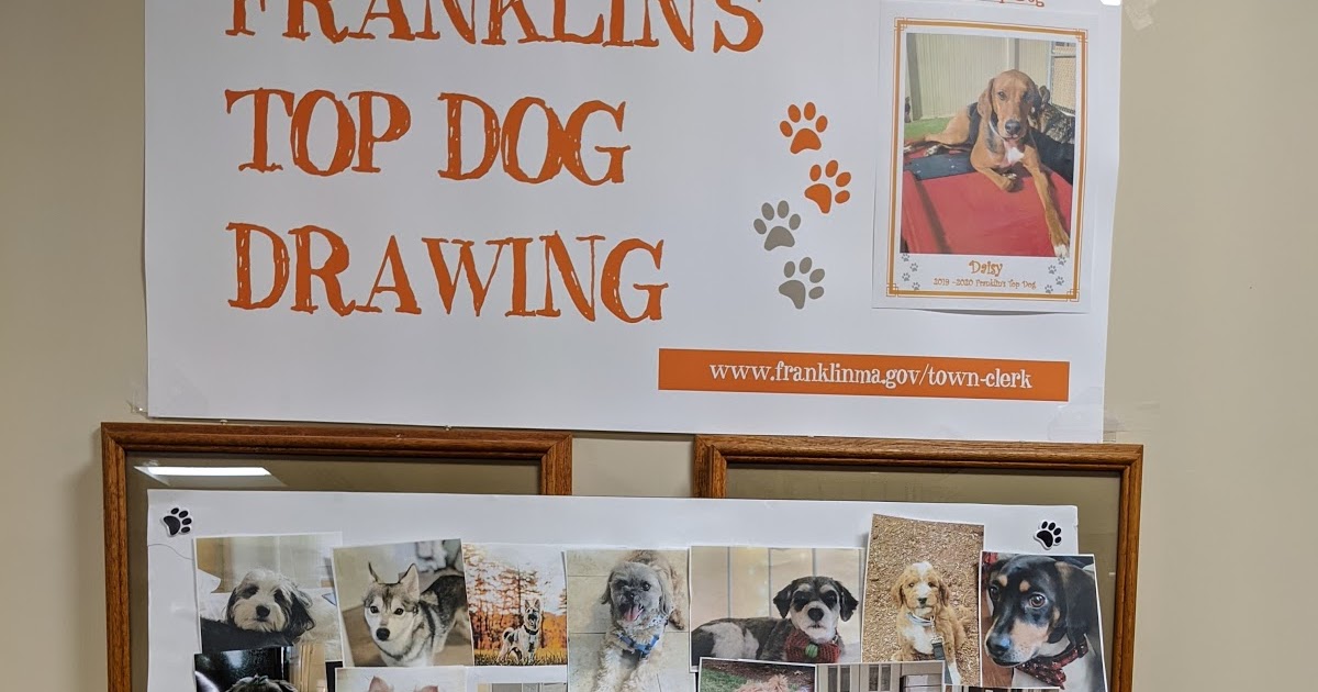 Franklin Matters: Enter Franklin's Top Dog Drawing