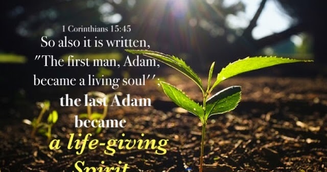 Jesus, the Last Adam.