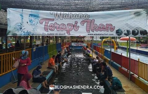 Manfaat Terapi Ikan untuk Kesehatan. Ini Pengalaman Saya! - blog mas hendra