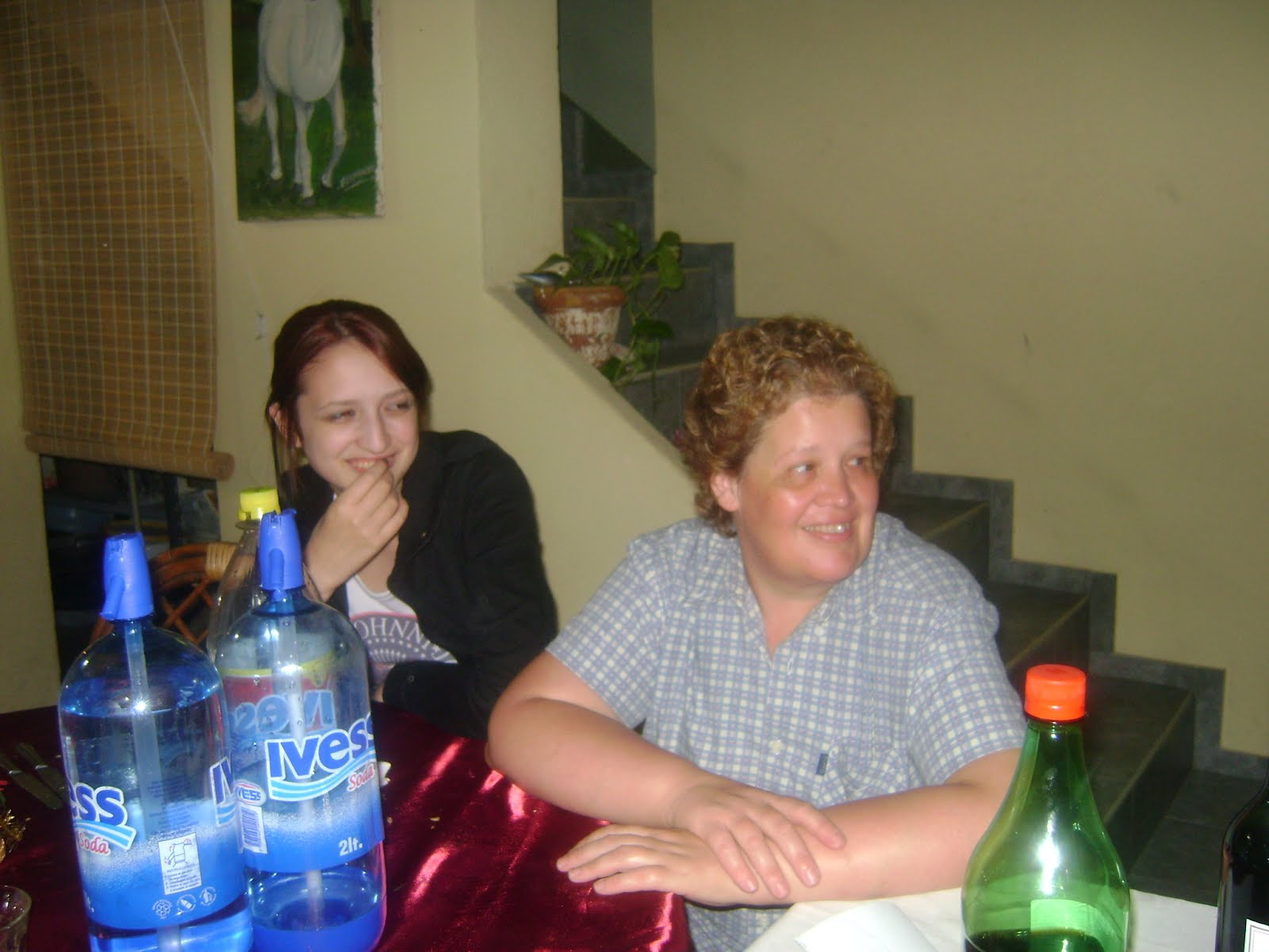 LOS RELATOS DE ROSA MARÍA FAVALE: LA BUENA VIDA