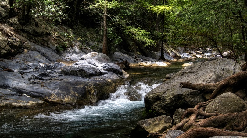 Lugares Turísticos en Ciudad Victoria Tamaulipas, México.: Los troncones
