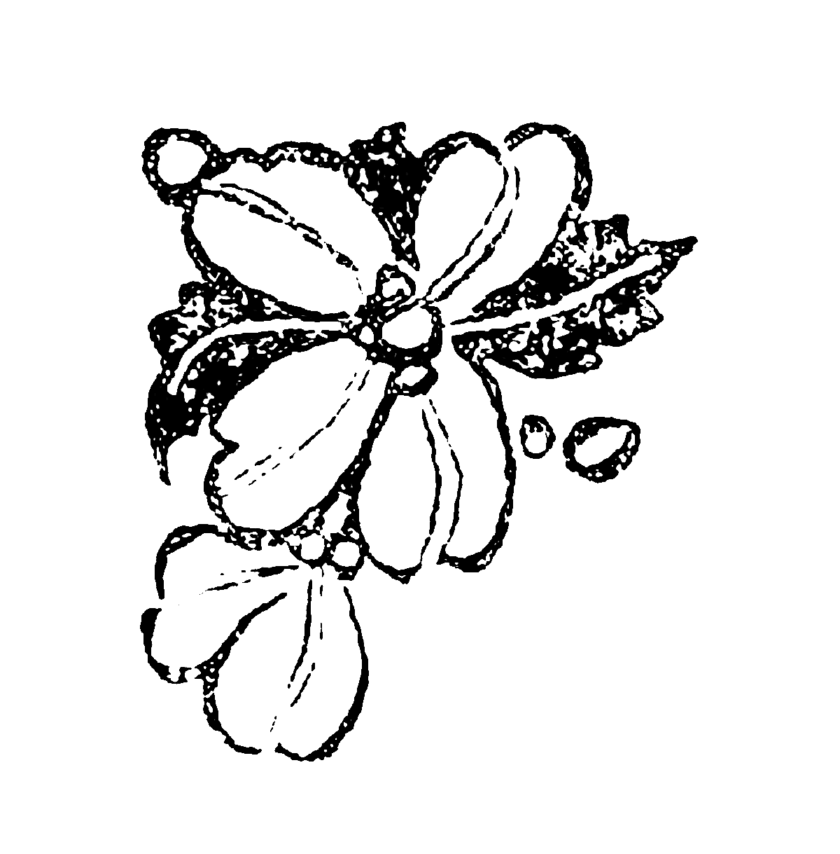 Digital Stamp Design: Distressed Flower Illustration Corner Border ...