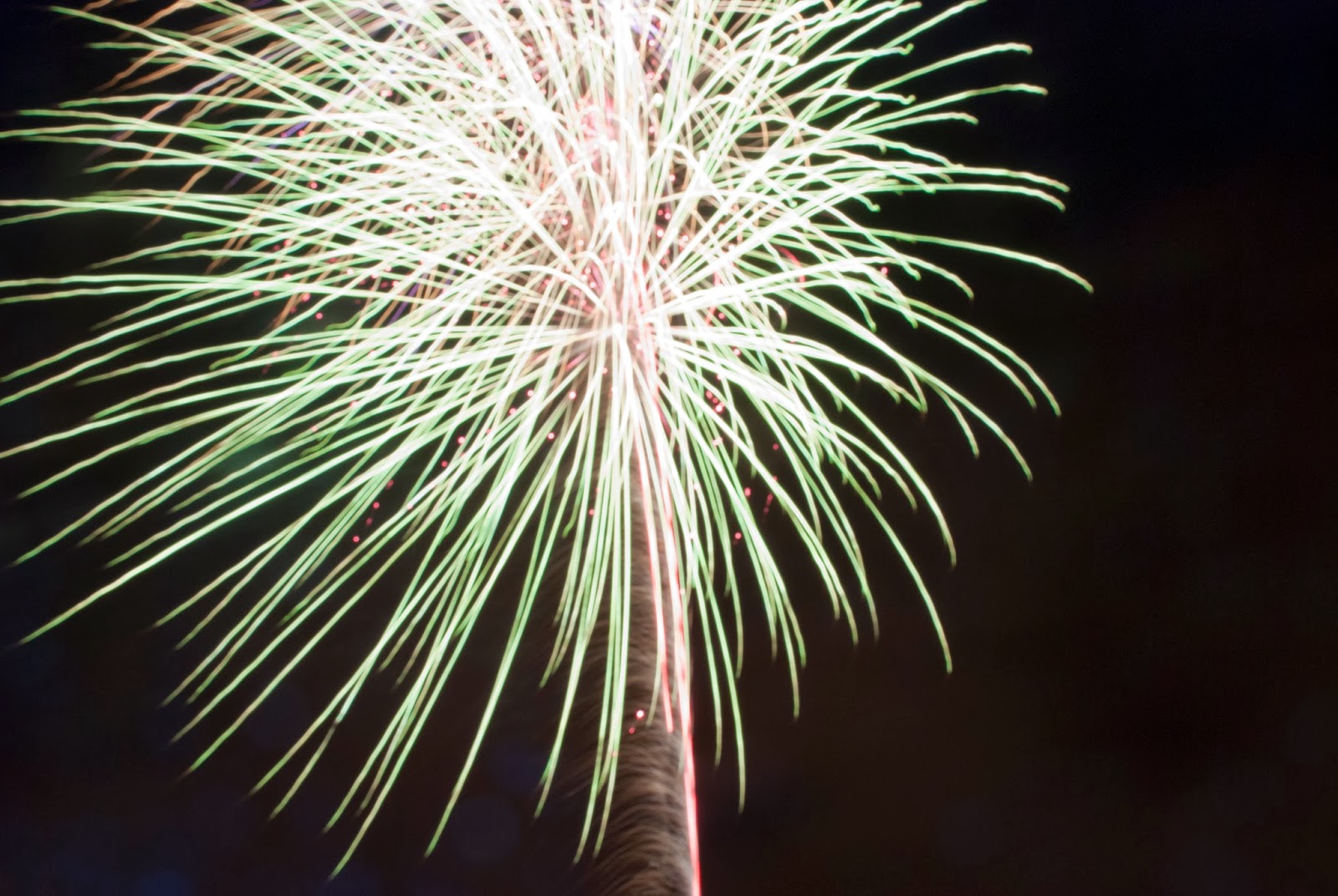 Jon Ratcliffe's Blog: Firework or Palm Tree?