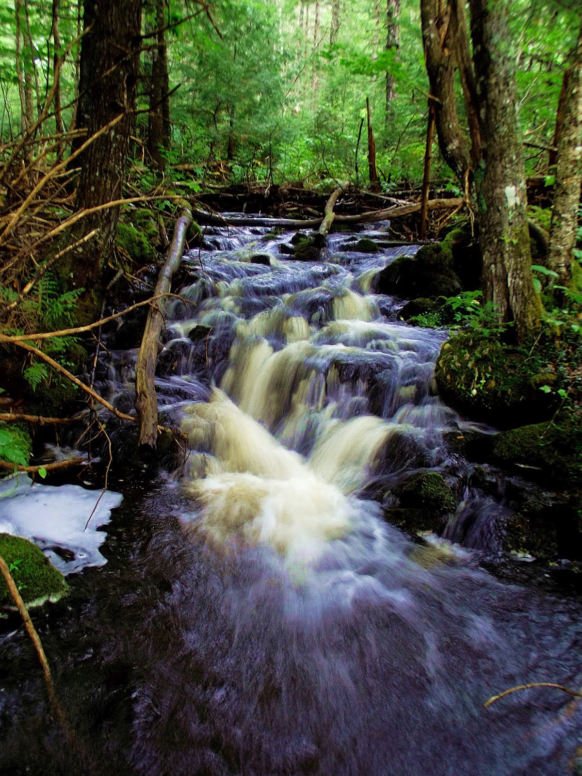 WATERFALLS OF NOVA SCOTIA