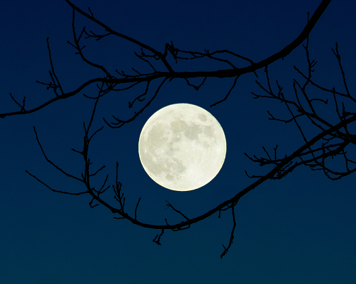 Beyond the Fields We Know: Courting the Imbolc Moon