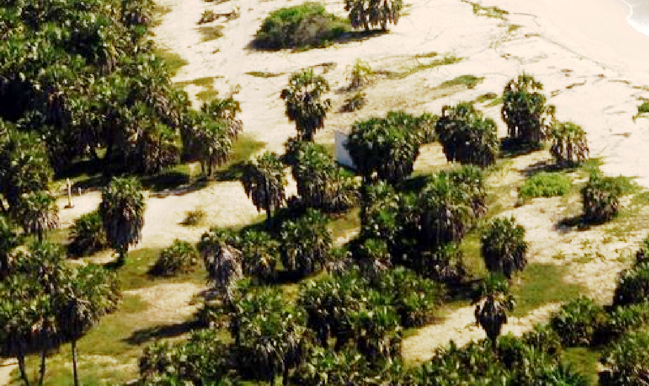 tropicalia: " rio Zaire, Soyo, Sazaire, Stº António do Zaire, M'Pinda ...