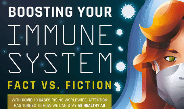 How Does The Immune System Work? #Infographic - Visualistan