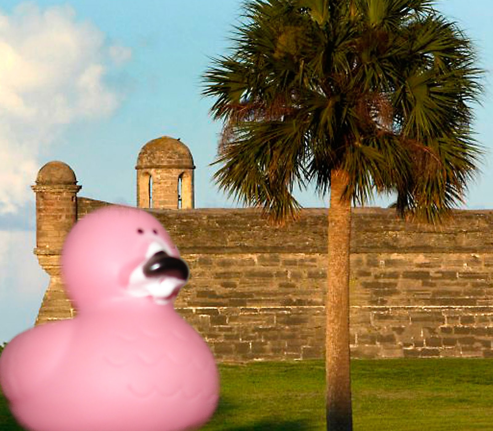 Adventures with Quacky