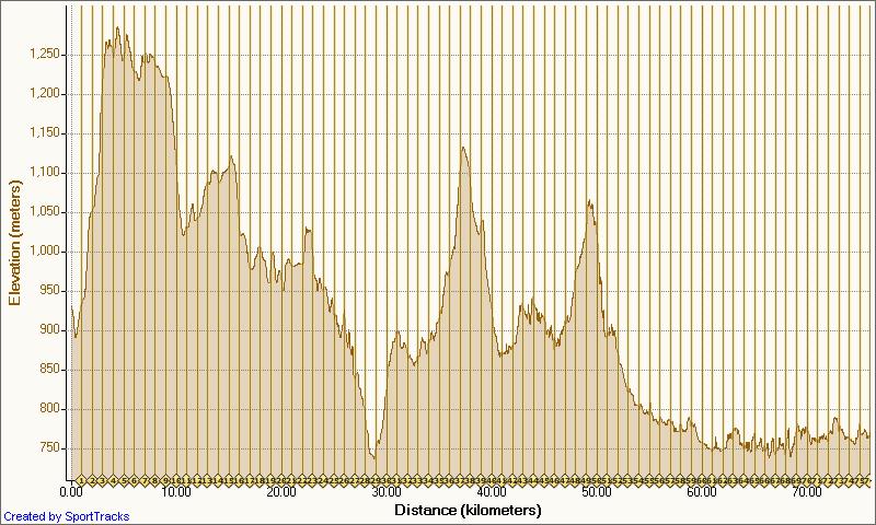 Beth Cardelli: February 2011