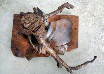 Naturalism - the Eighth Sense: Cryptobotany* - The tree that rose from ...