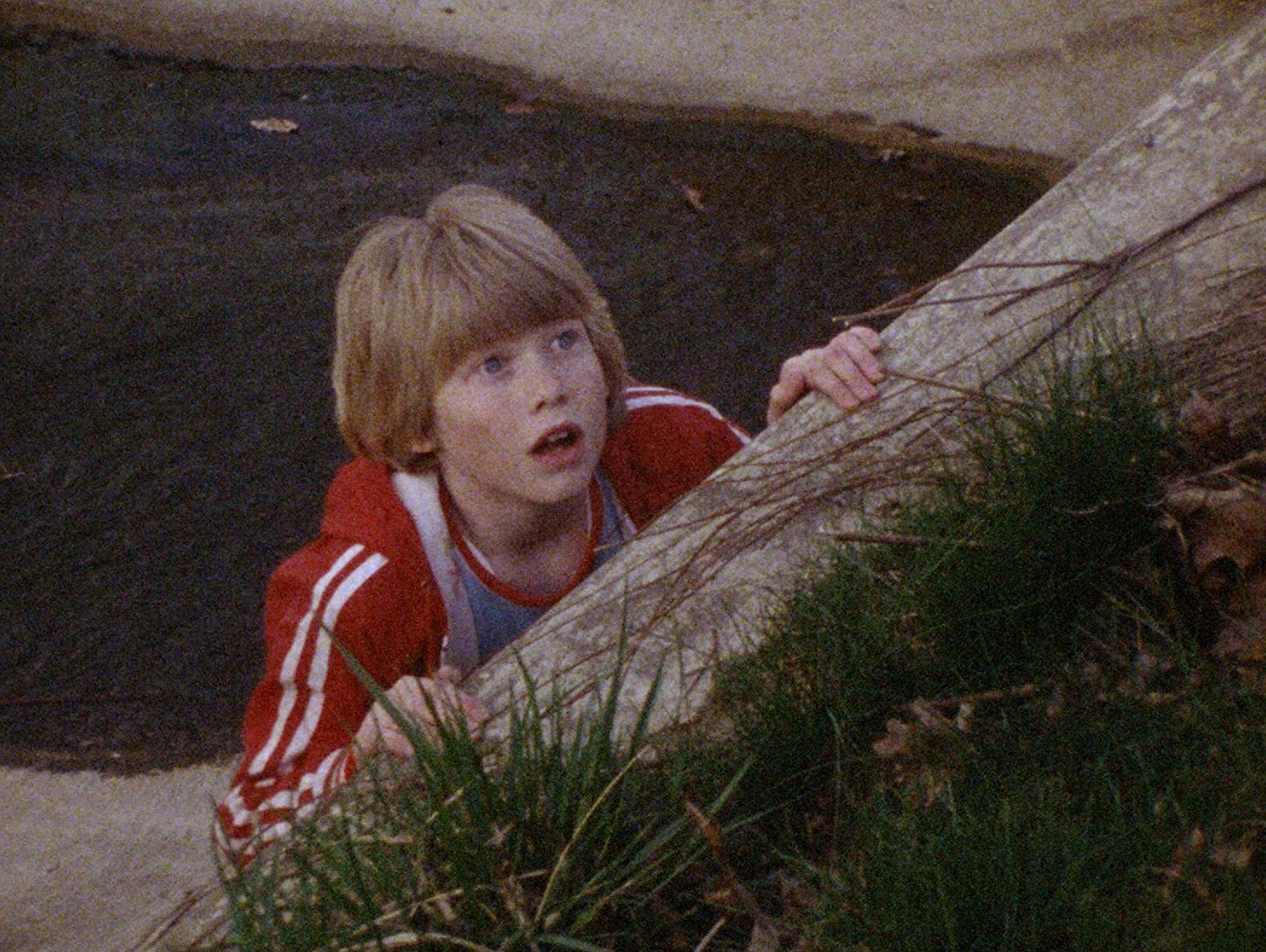 Lost And Found Video: Fiend (1980; Don Dohler)