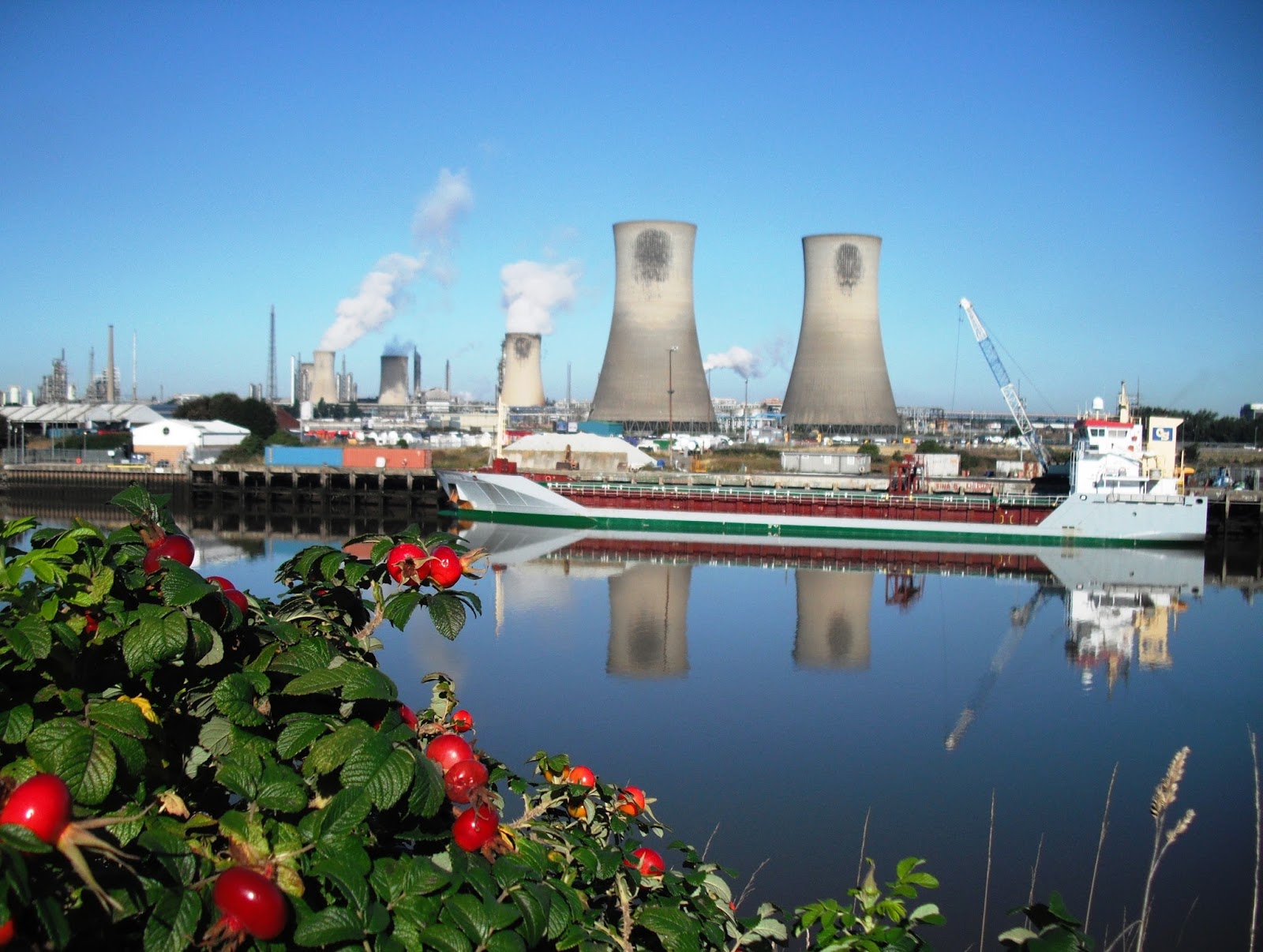 Love my life: Day 4 Middlesbrough to Saltburn