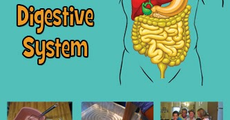 Ozark Ramblings: A Trip Through the Digestive System (Apologia A & P)