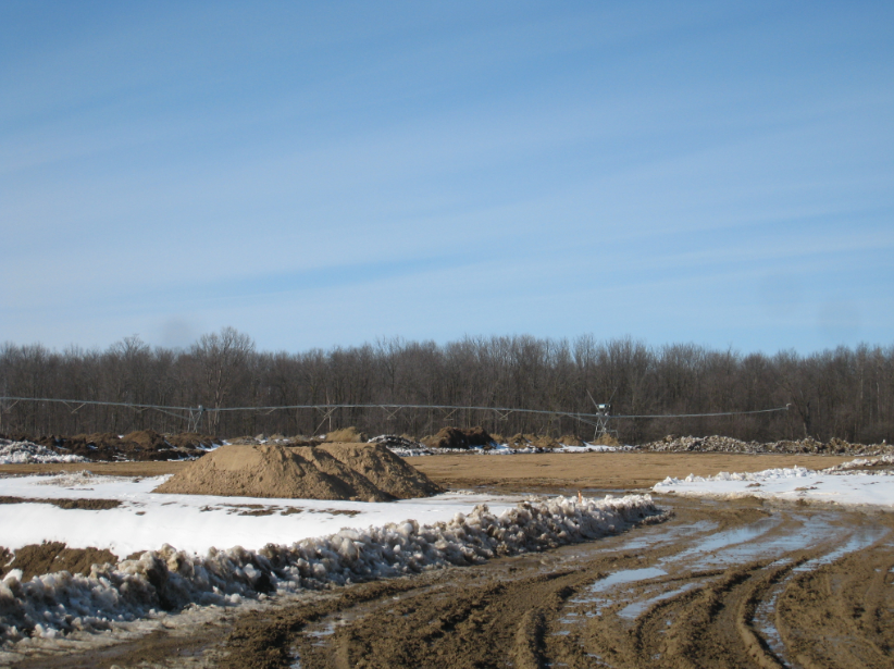 Truth or Dairy: March scenes