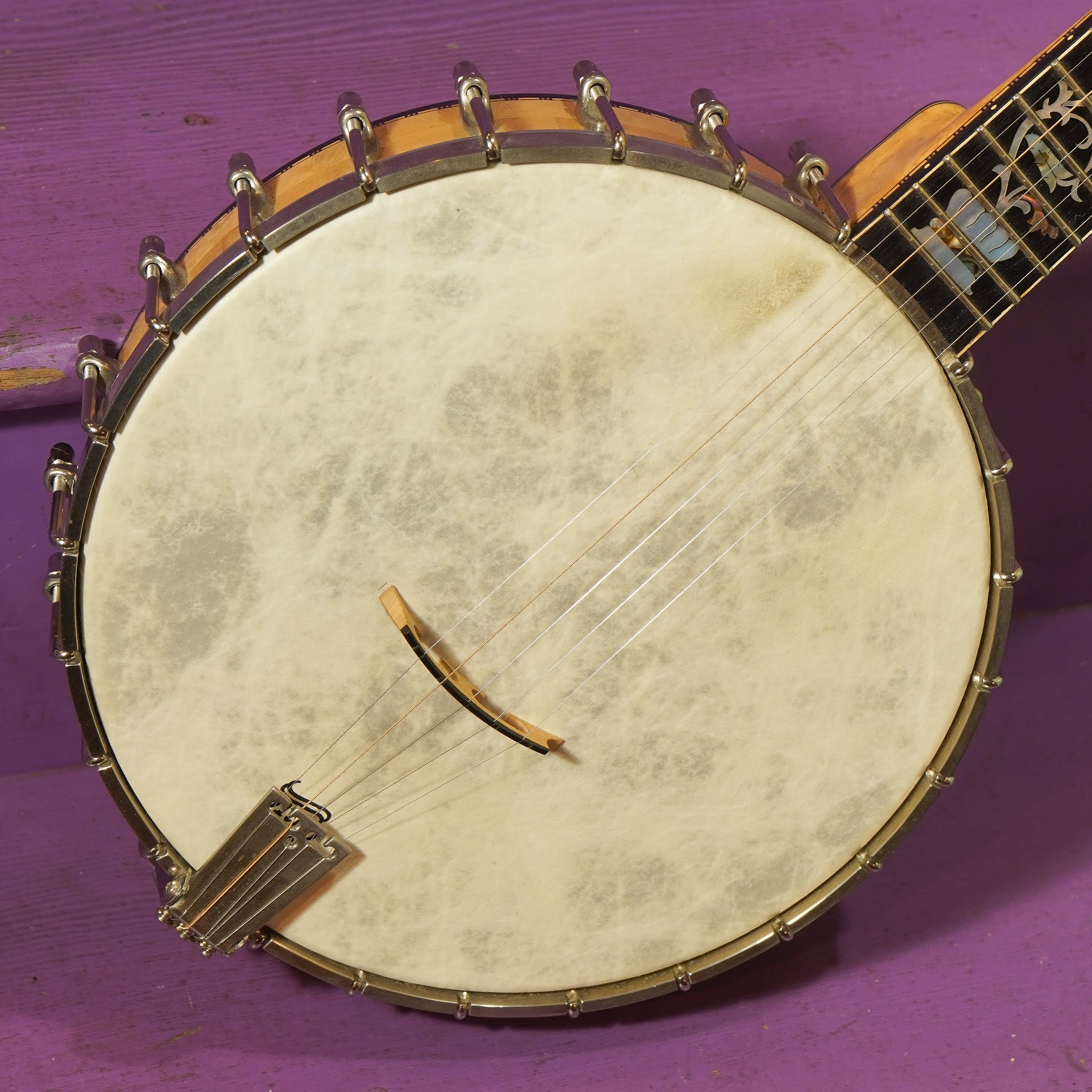 1970s Wildwood Custom Balladeer Openback 5-String Banjo