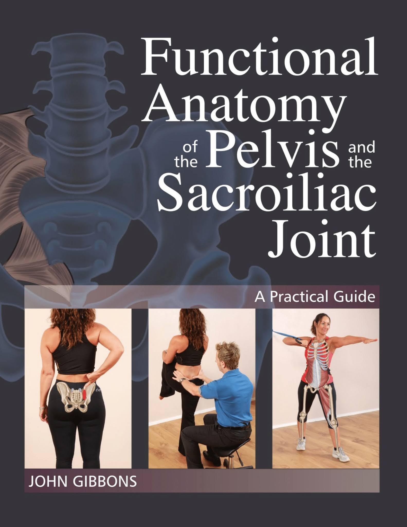 Functional Anatomy of the Pelvis and the Sacroiliac Joint A Practical ...