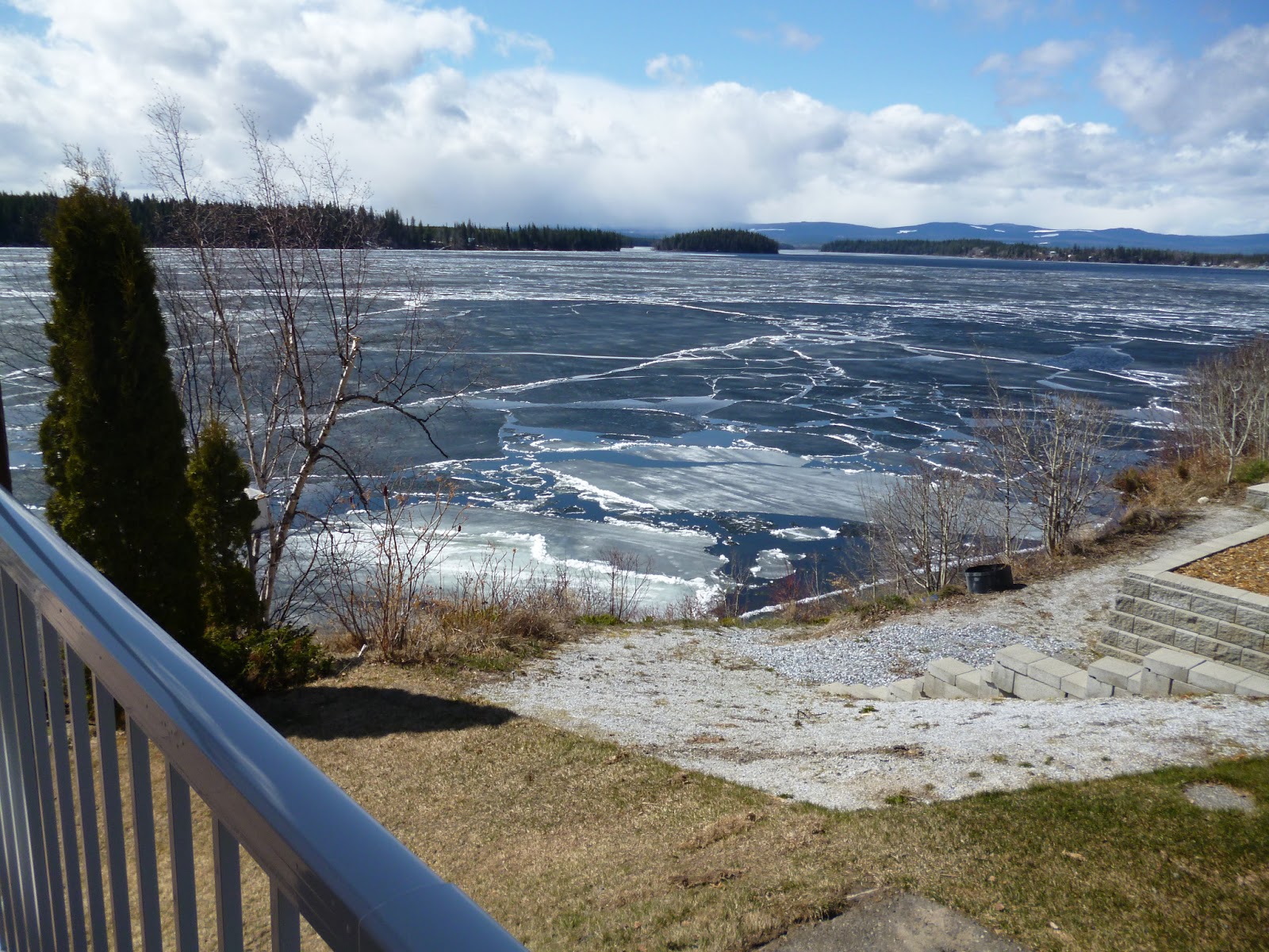 Cluculz Lake Happenstance - Joylene Nowell Butler