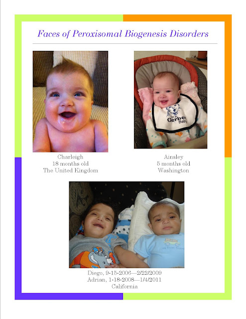 Faces of Peroxisomal Biogenesis Disorders