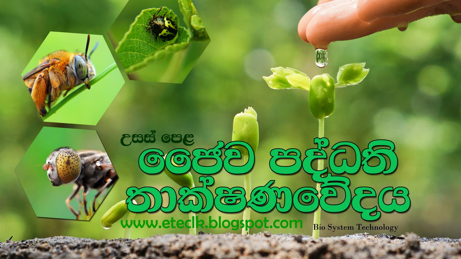 Advanced Level Engineering Technology eteclk: Bio System Technology