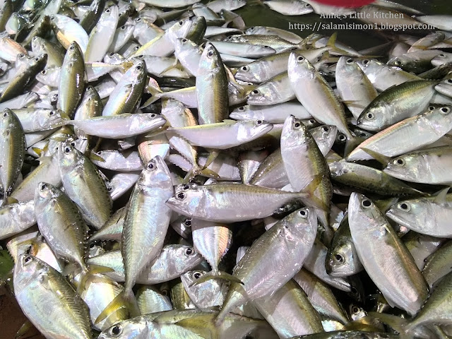 Makanan Tradisi Bajau : Kilau @ Kinilau, Latok & The Gang - Amie's ...