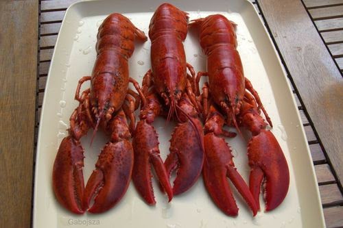 "Anya, ez isteni!...", avagy Gabojsza konyhája: Grillezett homár