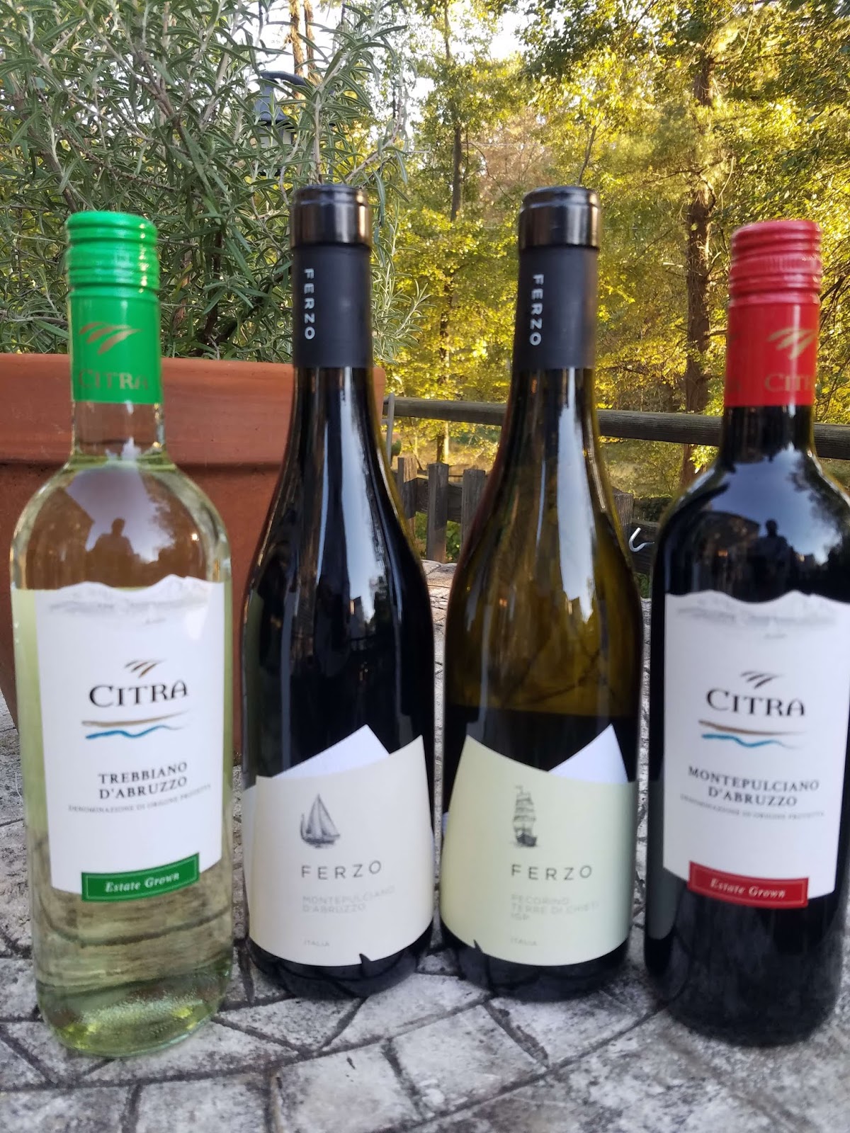 WineCompass: Abruzzo’s Codice Citra and Ferzo Wines