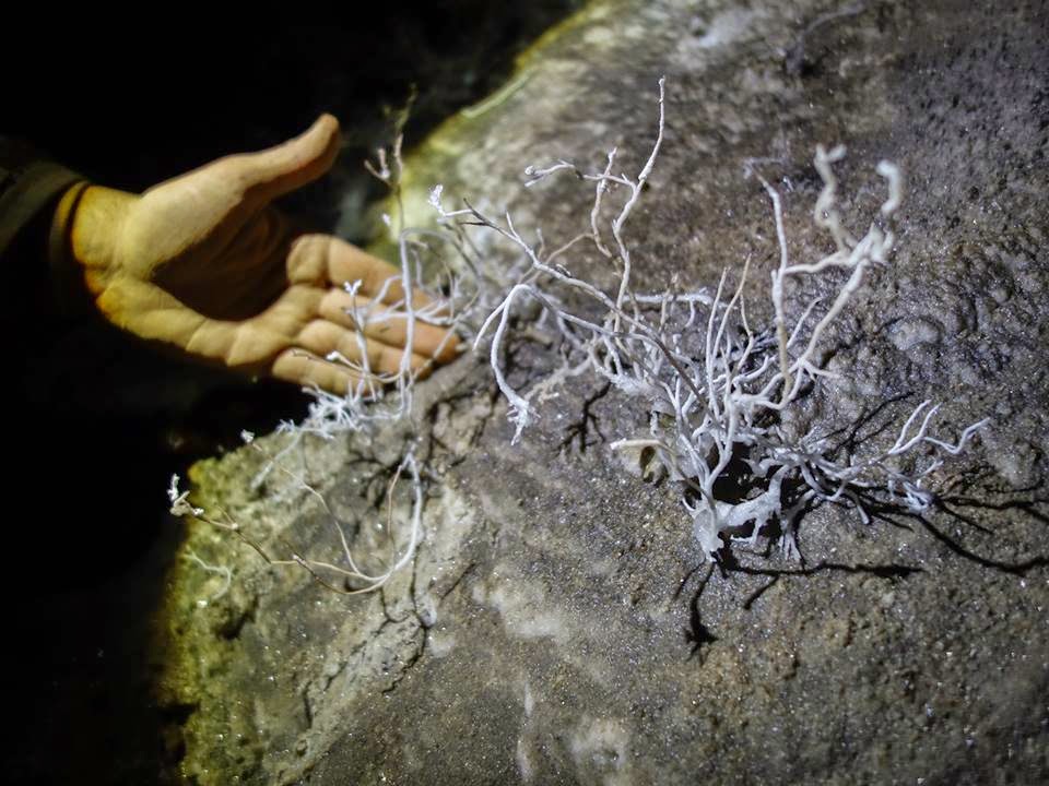 Helictite cave in Cantabria - Spain - Geology In