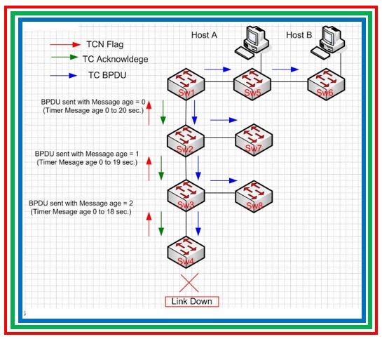 BPDU Messages- Configurational and Topology Change BPDU - The Network DNA
