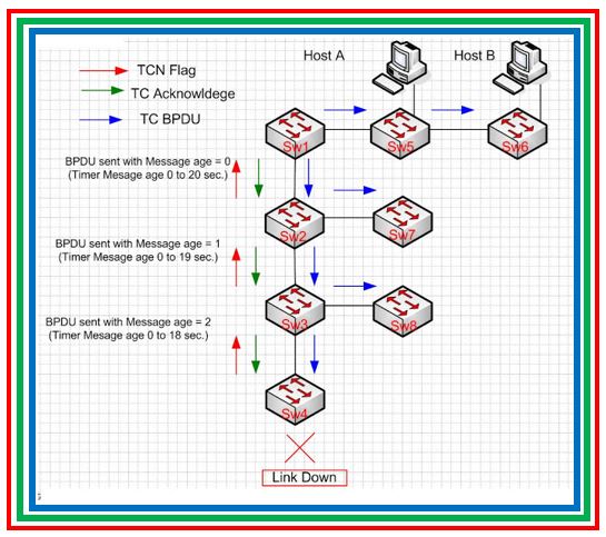 BPDU Messages- Configurational and Topology Change BPDU - The Network DNA