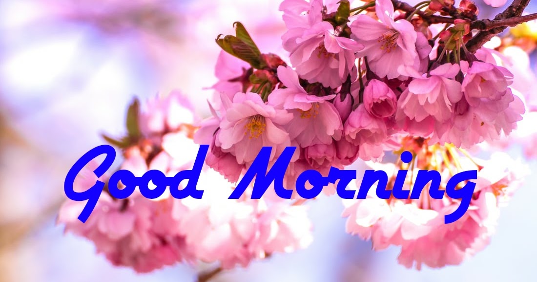 Top 10 Good Morning Images greeting Pictures,Photos for Whatsapp - Good ...