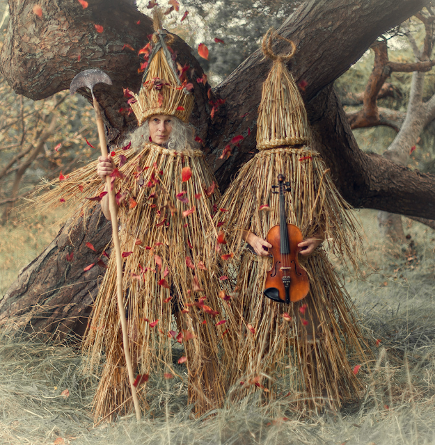 the art room plant: Laurence Winram IV