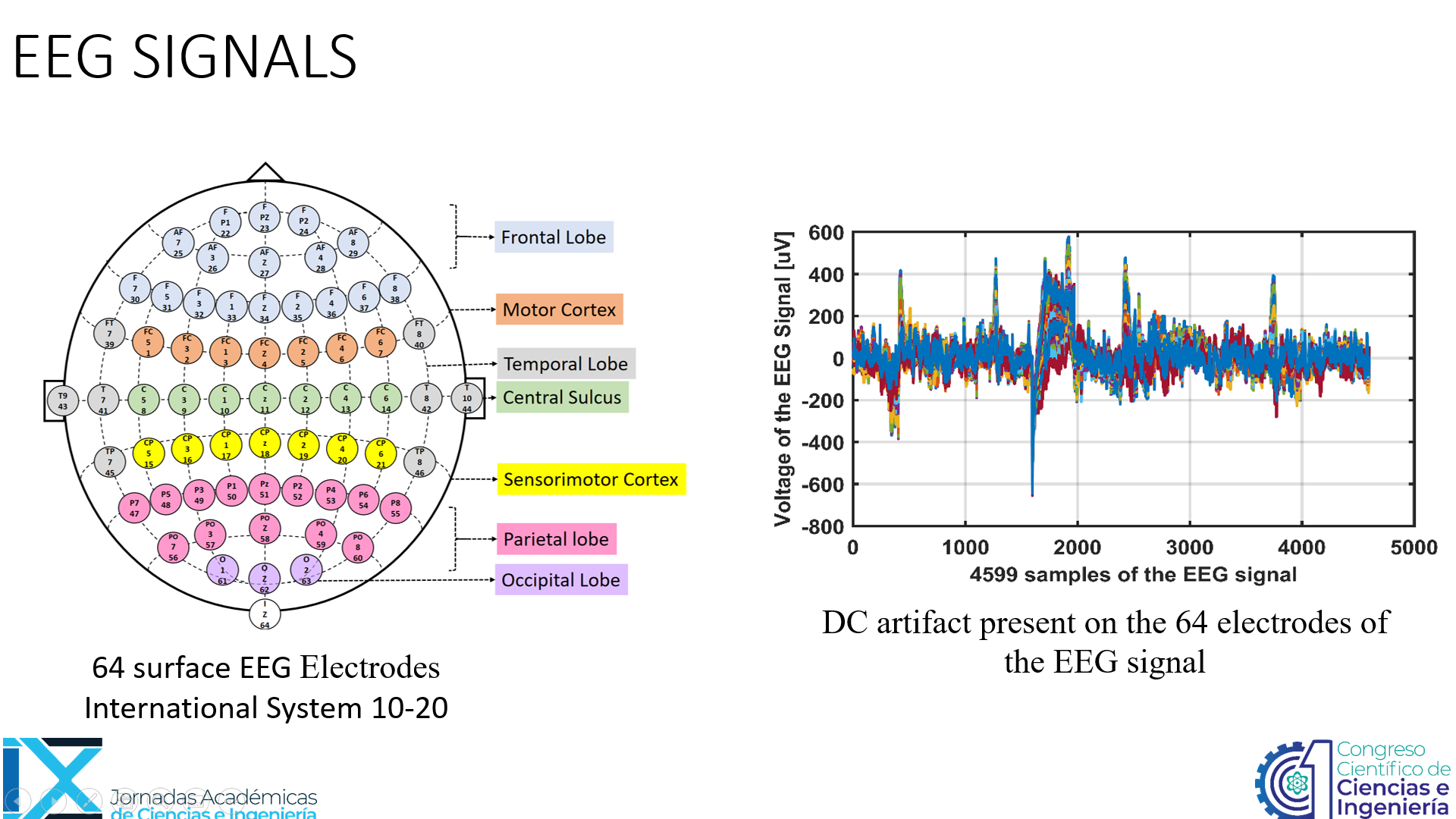 IX Jornadas Académicas y I Congreso Científico de Ciencias e Ingeniería: Clasificación de ...