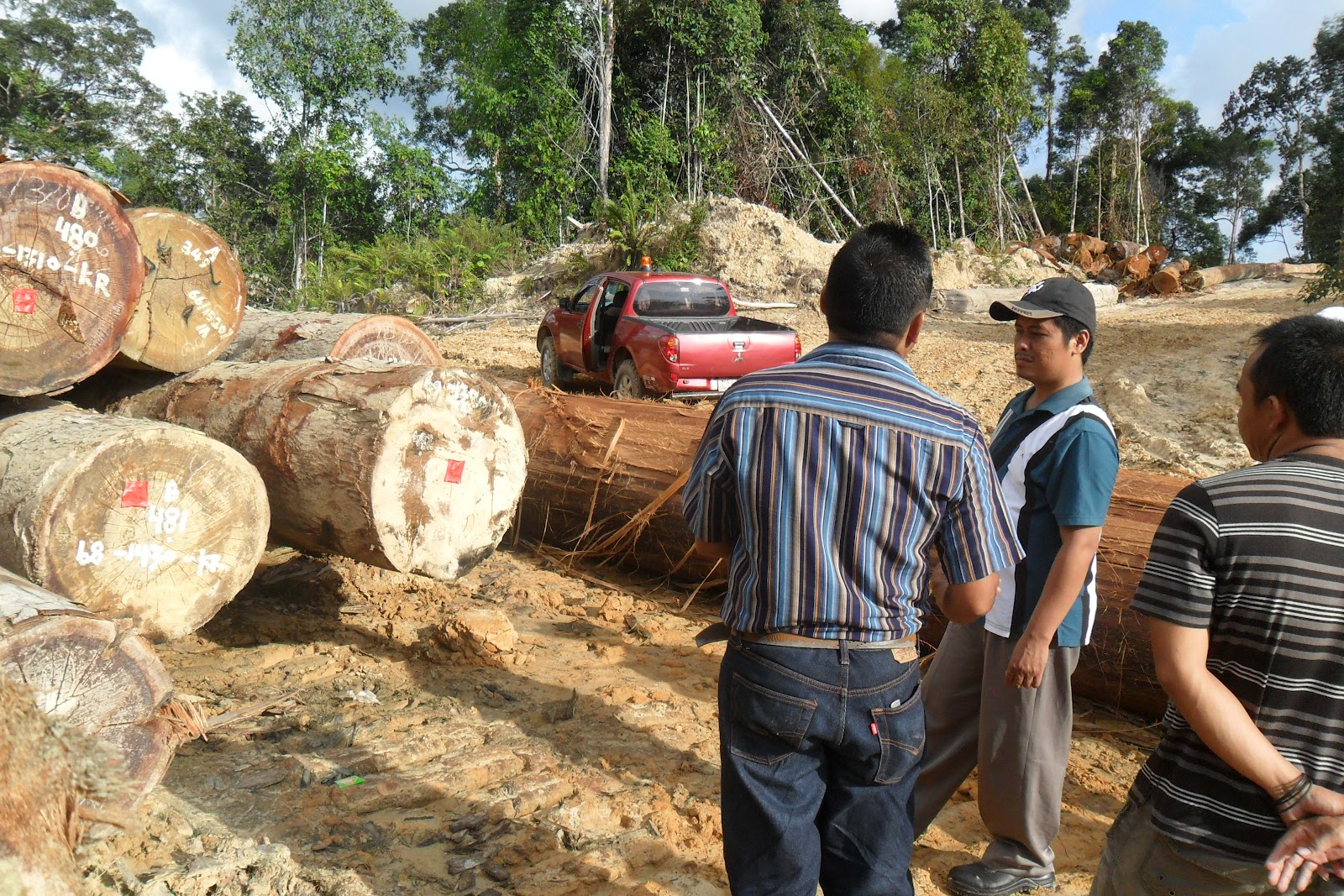 PT. MERANTI SEMBADA: UJI PETIK KAYU LHP